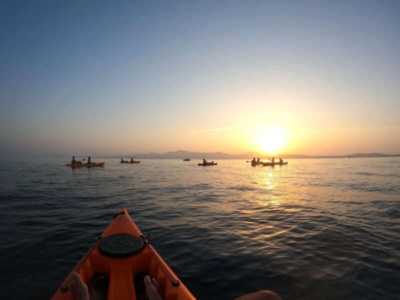 Golfo Aranci: Sunset Dolphin Kayak Tour with Aperitif - Practicalities and Considerations