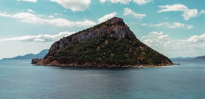 Golfo Aranci: Sunset Dolphin Kayak Tour with Aperitif - Authentic Experiences and Positive Feedback