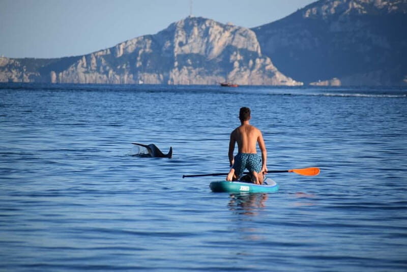 Golfo Aranci: Sup with dolphins, aperitif & photo shoot - Key Points
