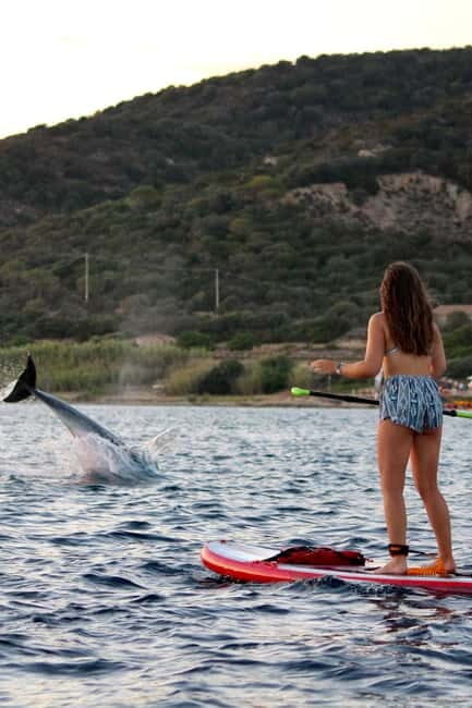 Golfo Aranci: Sup with dolphins, aperitif & photo shoot - Frequently Asked Questions