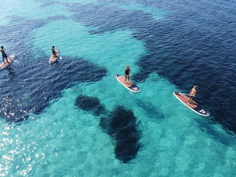 Golfo Aranci tour SUP Paddleboard Dolphin watching, aperitif - Key Points