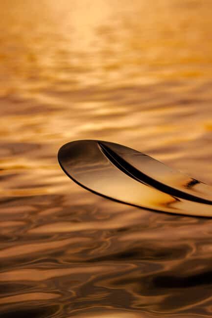 Golfo Aranci: traditional or transparent kayaks, dolphins, and aperitif - Key Points