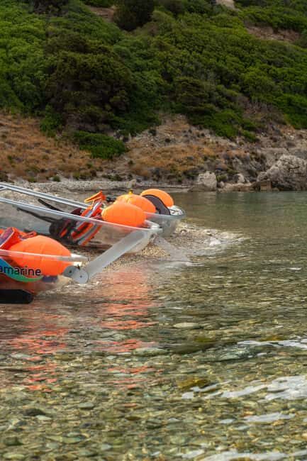 Golfo Aranci: traditional or transparent kayaks, dolphins, and aperitif - The Sum Up
