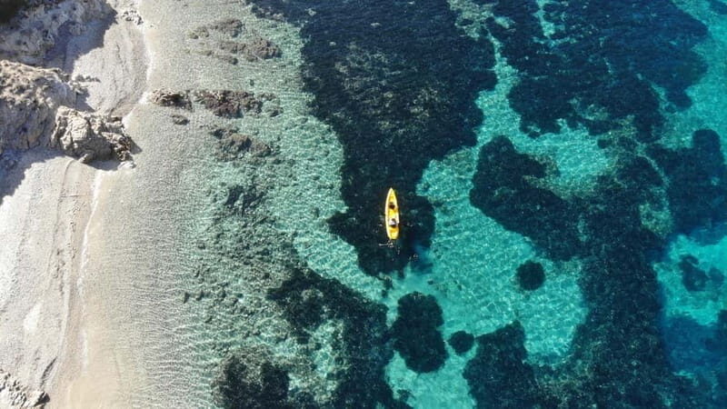 Golfo Aranci:Small group, german guided Kayak tour&Dolphins - FAQs