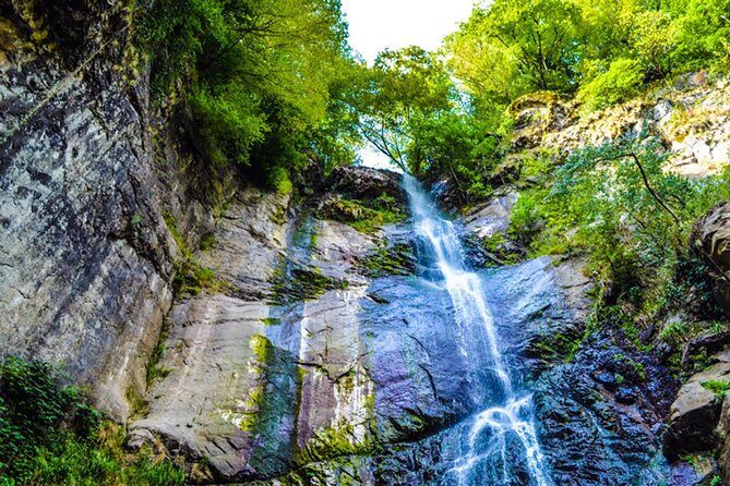 Gonio and Adjarian Highland Tour - A Well-Rounded Day in Adjara: What You Can Expect