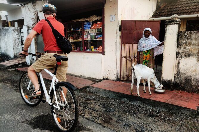 Good Morning Kochi Bicycle Tour - The Sum Up