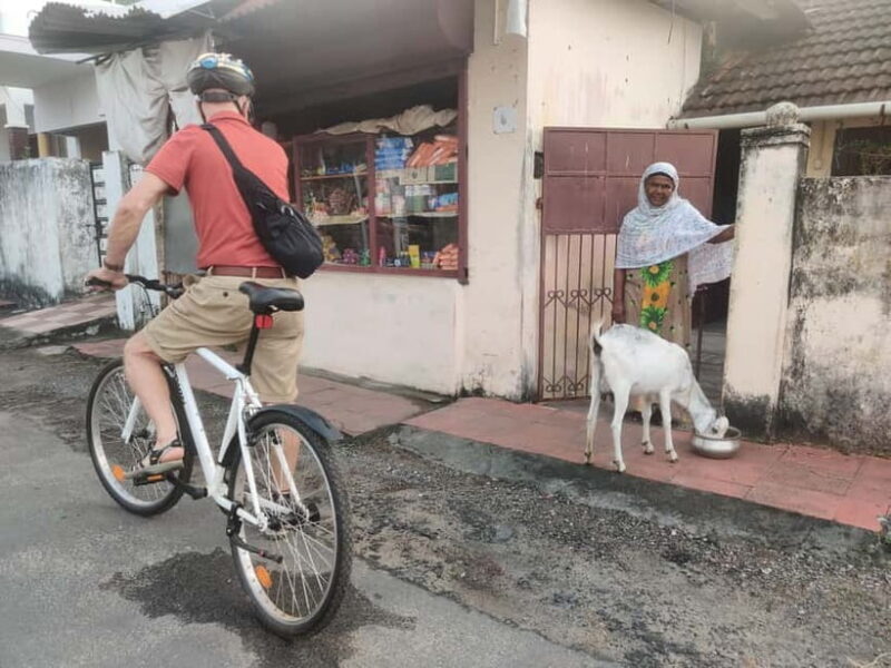 Good Morning Kochi Bicycle Tour - The Sum Up: Is This Tour Worth It?