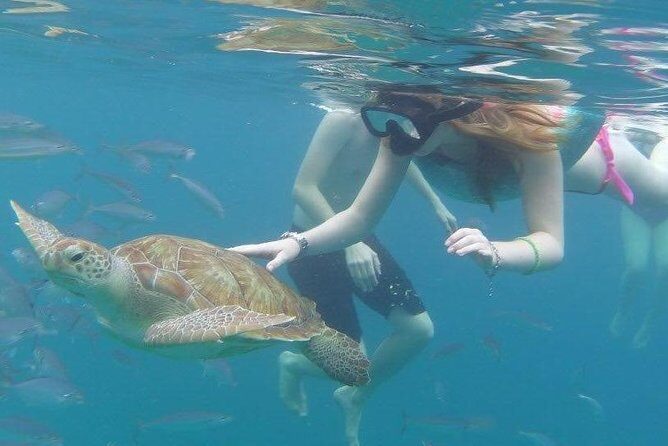 Good Times Too Premium Catamaran Lunch Cruise - The Real Value of the Tour