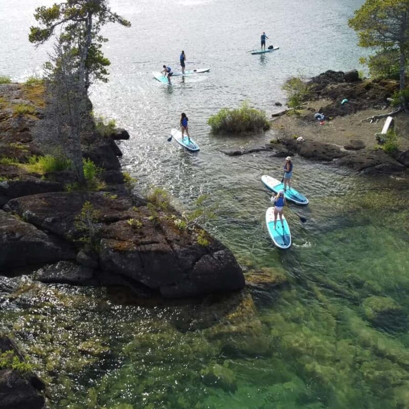 Gordon Bay: 1.5-Hour Paddleboard Tour of Gordon Bay Islands - Who Would Enjoy This Tour?