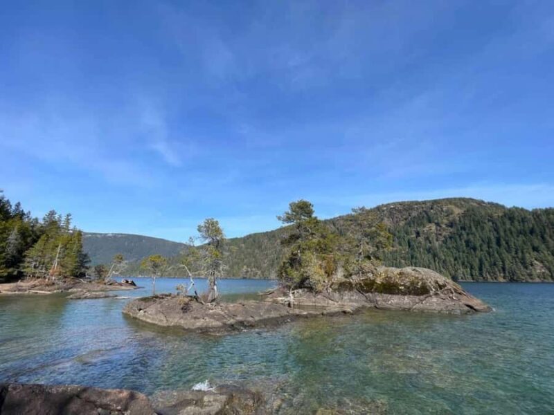 Gordon Bay: 1.5-Hour Paddleboard Tour of Gordon Bay Islands - FAQ