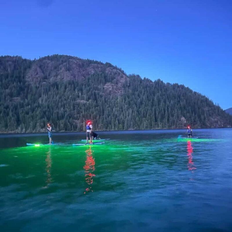 Gordon Bay: Paddleboard Glow Cruise Light & Sound Experience - Detailed Breakdown of the Itinerary