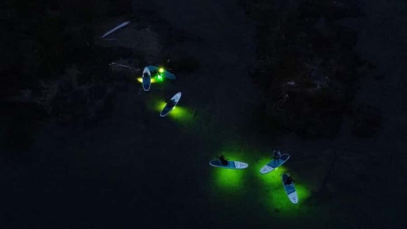 Gordon Bay: Paddleboard Glow Cruise Light & Sound Experience - The Experience from a Traveler’s Perspective