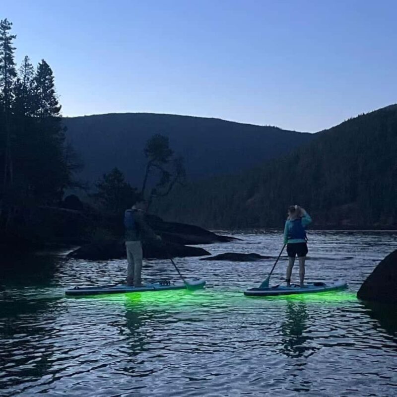Gordon Bay: Paddleboard Glow Cruise Light & Sound Experience - The Sum Up
