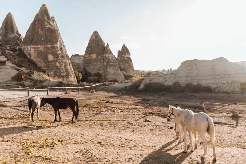 Göreme: Private Camel Tour, Pottery, Horse Ride w/Lunch - The Itinerary: What You Can Expect