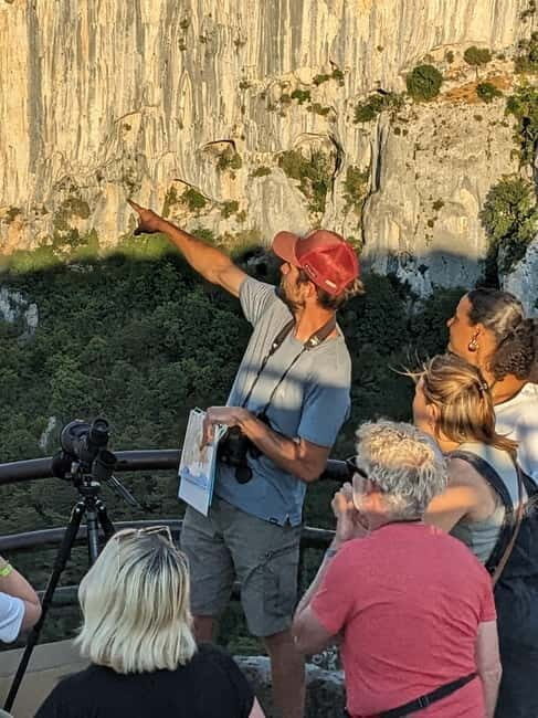 Gorges du Verdon: Watching vultures - Who should consider this tour?