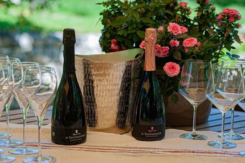 Goriano Valli: Wine Tasting among the Vineyards of Vigna di More - An Authentic Introduction to Abruzzo’s Wine Scene