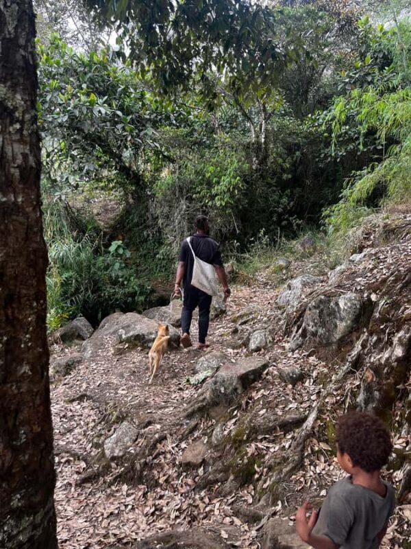 Goroka: Kameufa village tour with traditional dance - Who Is This Tour Best For?