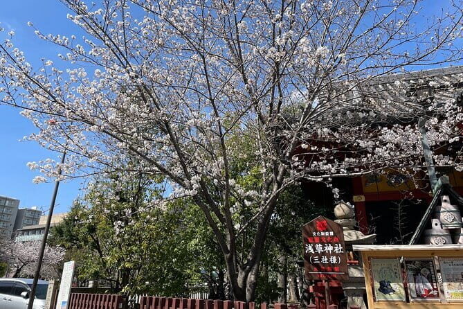 Goshuin Collecting tour at Asakusa Local Temples & Shrines, Tokyo - An In-Depth Look at the Tour Itinerary