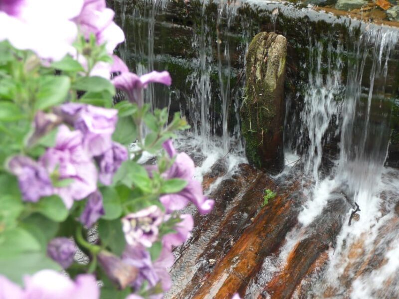 Goslar: Wasserwege und Bergbaugeschichte - Who Should Sign Up?
