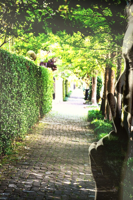 Gossip & Grandeur: A Stroll Through NOLAs Garden District - FAQ