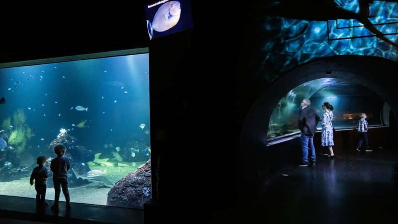 Gothenburg: Universeum Entry Ticket - Key Points