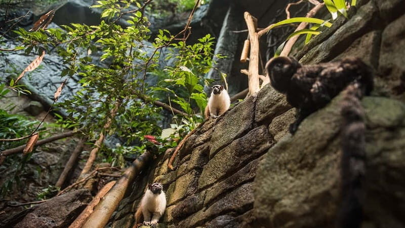 Gothenburg: Universeum Entry Ticket - A Walkthrough of the Universeum Experience