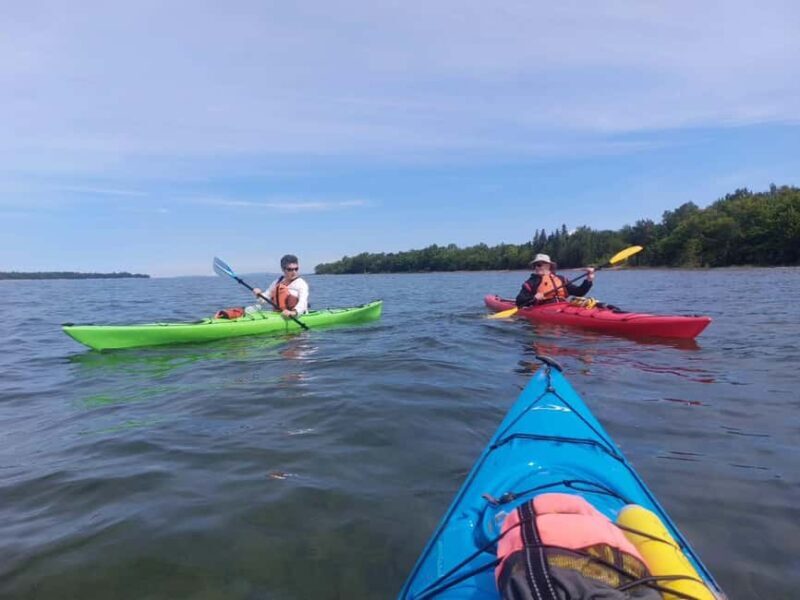 Goulais River: Maple Island Traders Guided Kayak Tour - An In-Depth Look at the Goulais River: Maple Island Traders Guided Kayak Tour