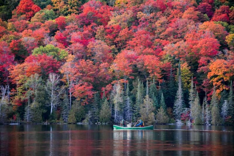 Goulais River: Winding Waters Bay & River Tour - A Close Look at the Goulais River Tour