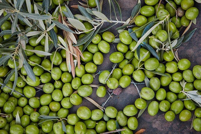 Gourmet Cooking Class & Culture in the rural Montes de Malaga. - Who Would Love This Experience?