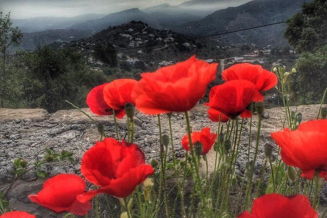 Gourmet Cooking Class & Culture in the rural Montes de Malaga. - Frequently Asked Questions
