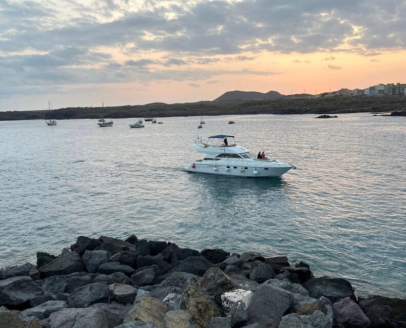 Gourmet cruise at sunset with whale watching - Discovering Tenerife’s Sunset and Marine Marvels: A Comprehensive Review of the Gourmet Cruise with Whale Watching