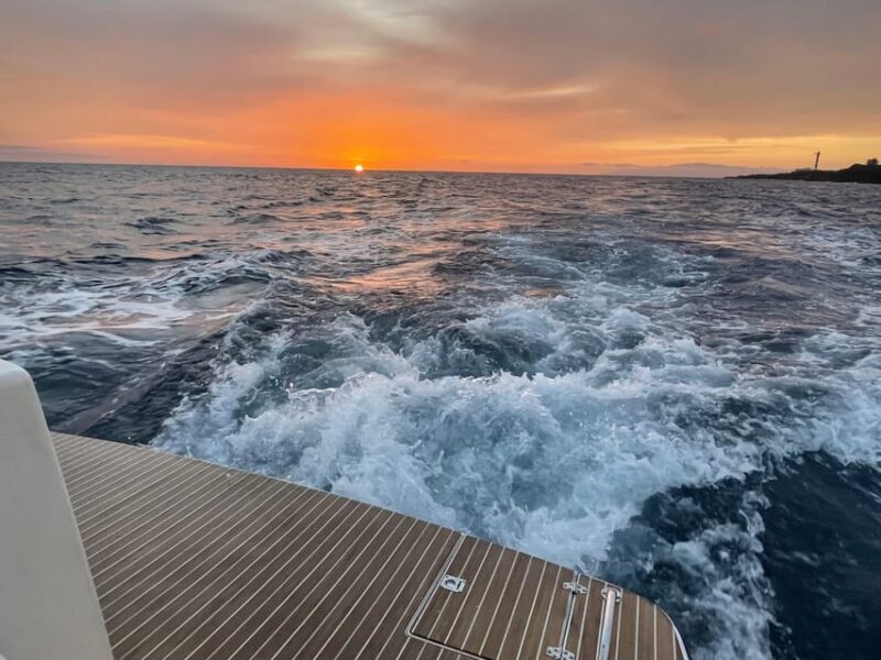 Gourmet cruise at sunset with whale watching - An In-Depth Look at the Experience
