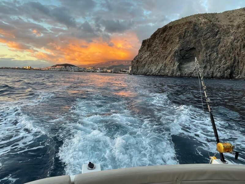 Gourmet cruise at sunset with whale watching - Breakdown of the Itinerary