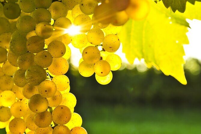 Gourmet Journey: 12-Course Lunch, Wine Tasting & Culinary Session - Practical Tips for Booking and Participation