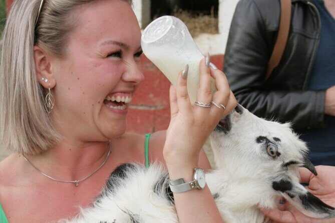 Gourmet Lunch Farm Tour with Cooking Class - FAQs