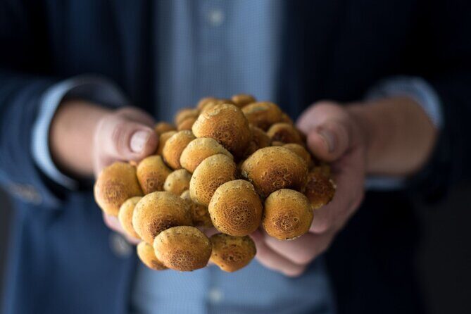 Gourmet Mushroom Farm Tour in Tennessee - Frequently Asked Questions