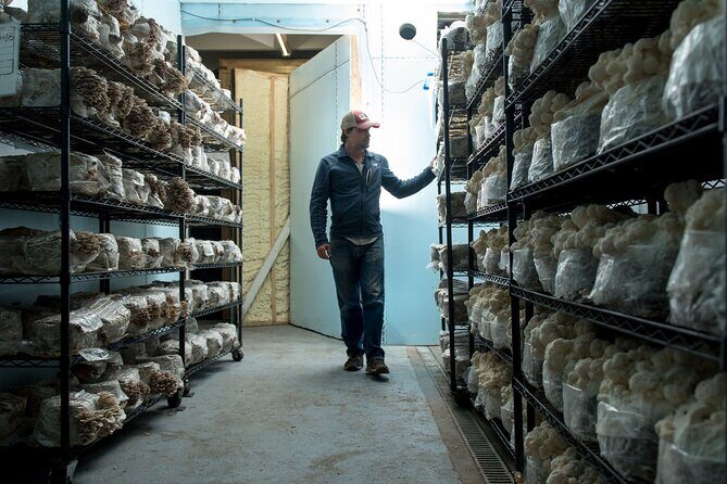 Gourmet Mushroom Farm Tour in Tennessee - Final Thoughts