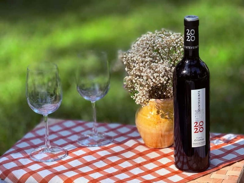 Gourmet Spanish Tapas Picnic in Retiro Park (Private) - The Logistics: What to Expect