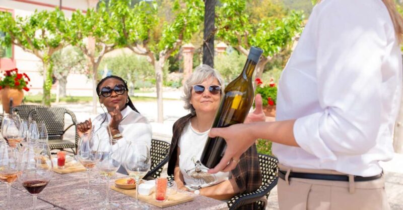 Gourmet Winery Tour: Wine Tasting and 8-Course Gourmet Menu - Introducing the Gourmet Winery Tour: A Feast for the Senses