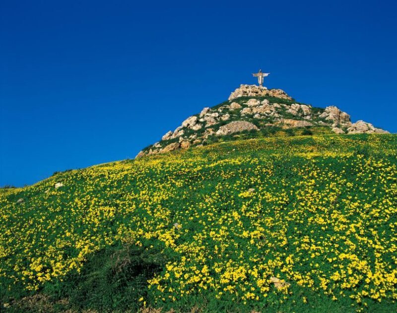 Gozo Day Pass Ferry and Hop-on Hop-off buses with audio Tour - Key Points