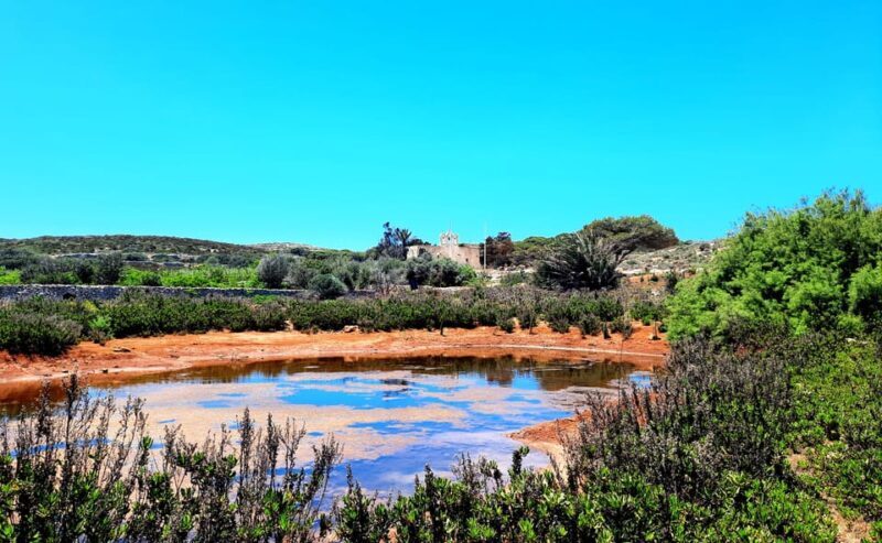 Gozo Unveiled: Guided Hiking in Comino Island - A Detailed Look at the Comino Hiking Tour