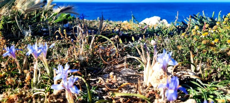 Gozo Unveiled Hiking: A Guided Hike tour in Gozo- North East - Salt Pans at Gebla tal-Alfa