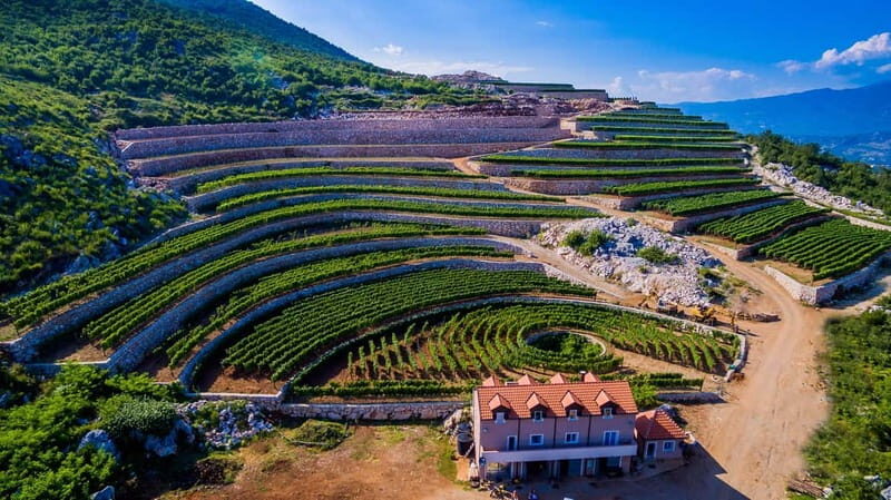Graani: Winery Tour and Tasting at Winery Lipovac - A Closer Look at the Tour Experience