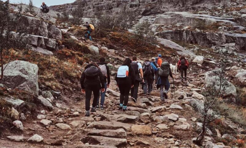 Grampians: Day Tour  Waterfalls, MacKenzie Fall, & Wildlife - FAQ