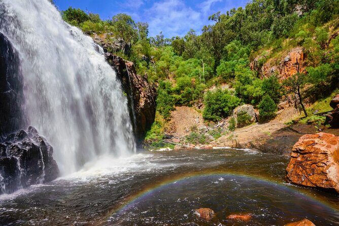Grampians National Park Small-Group Eco Tour from Melbourne - The Practical Side: Transportation, Guide, and Value