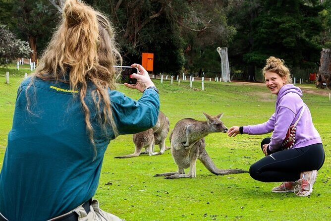 Grampians National Park Small-Group Eco Tour from Melbourne - Who Should Book This Tour?