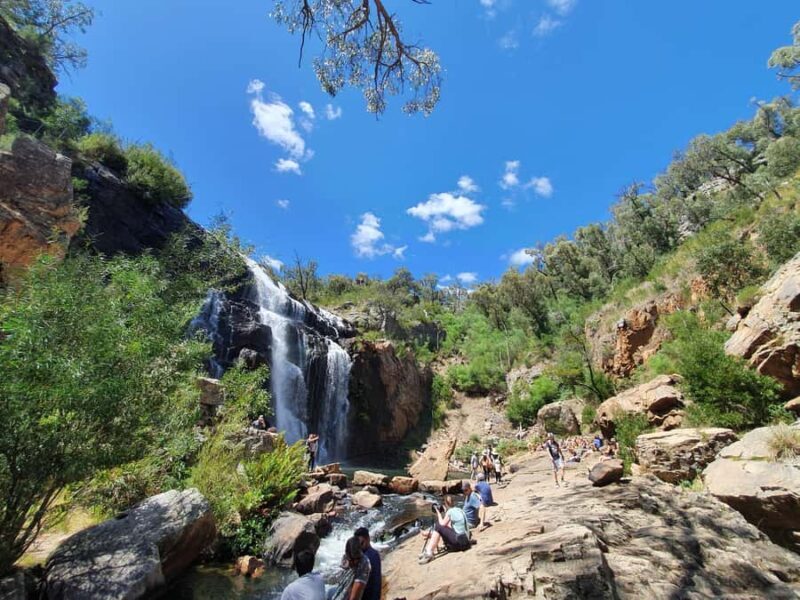 Grampians Small-Group Hiking & Wildlife Eco Experience - An Authentic, Thoughtfully Curated Day in the Grampians