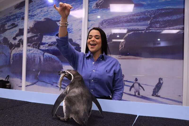 Gran Acuario Mazatlan - An In-Depth Look at Gran Acuario Mazatlan
