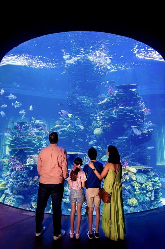 Gran Acuario Mazatlan - FAQ