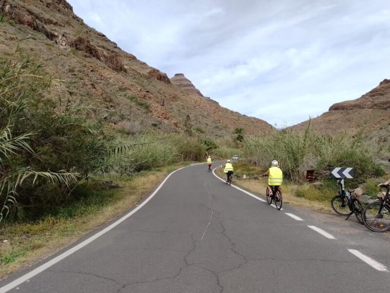 Gran Canaria: 1-7 Day E-Bike Rental 80 km battery life - What You’ll Experience on the Ride
